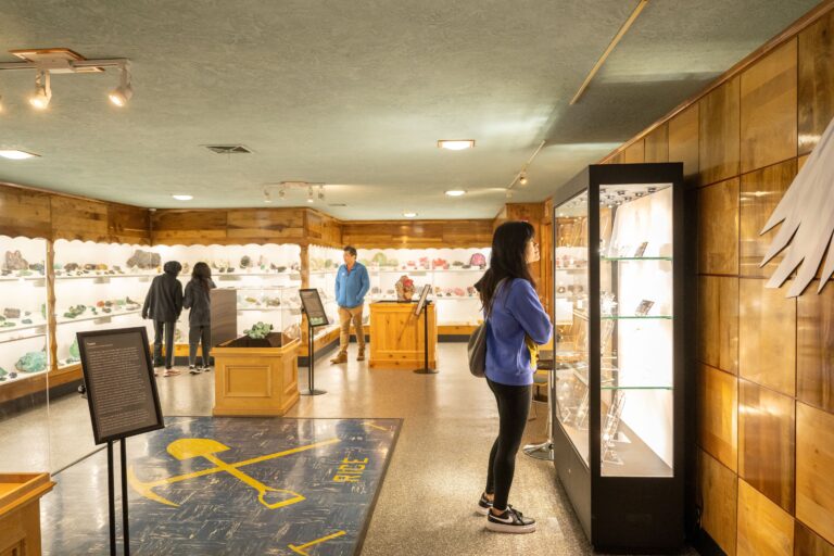 Visit - Guided Tours at Rice Museum